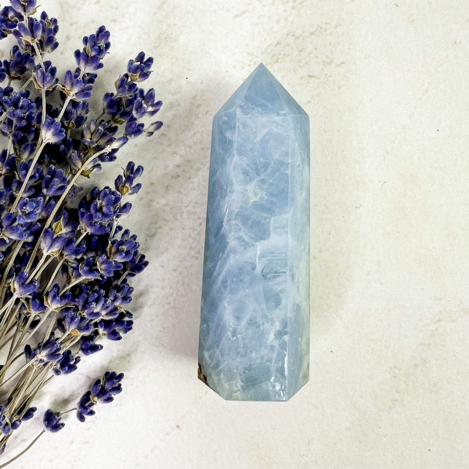 Products – Page 2 – Delicata House