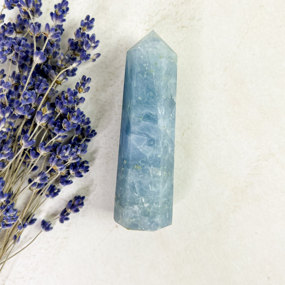 Products – Page 2 – Delicata House