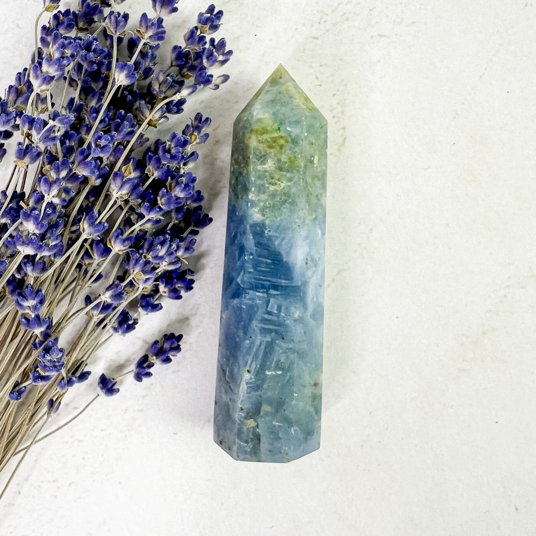 Products – Page 2 – Delicata House