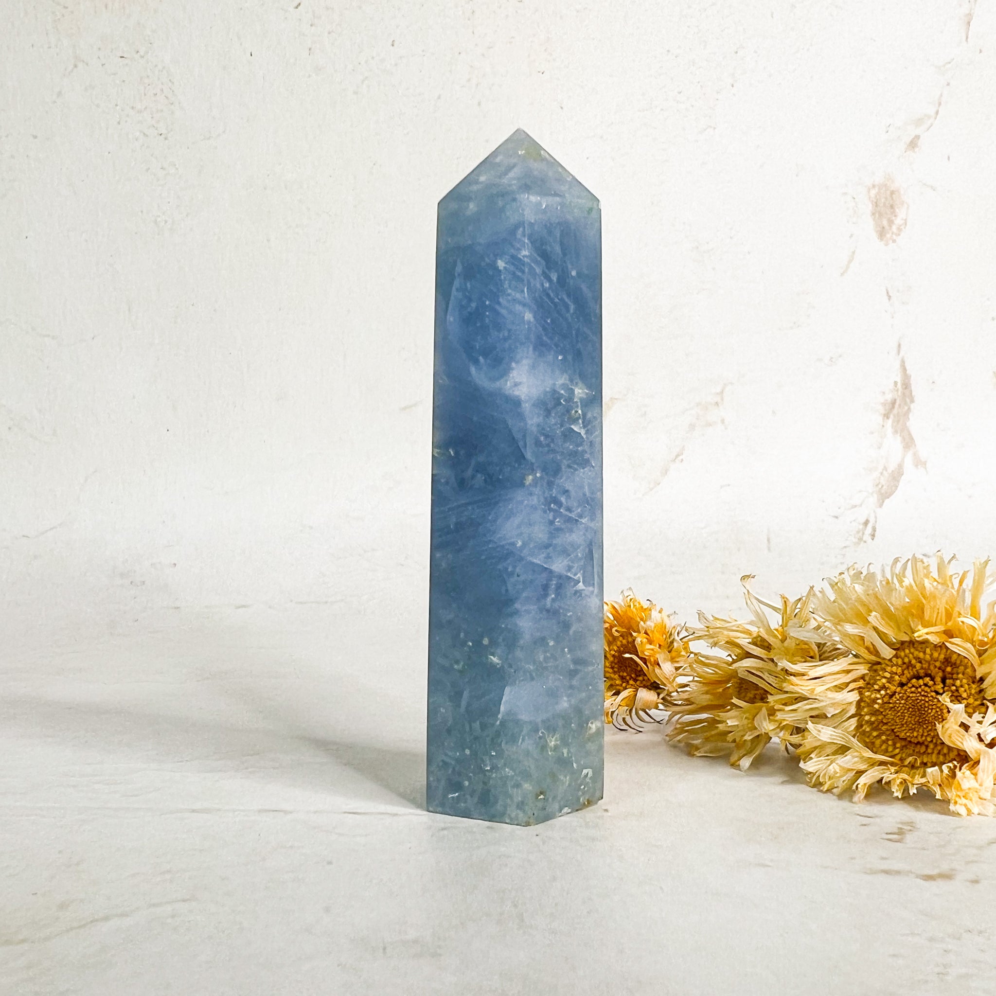 Products – Page 2 – Delicata House