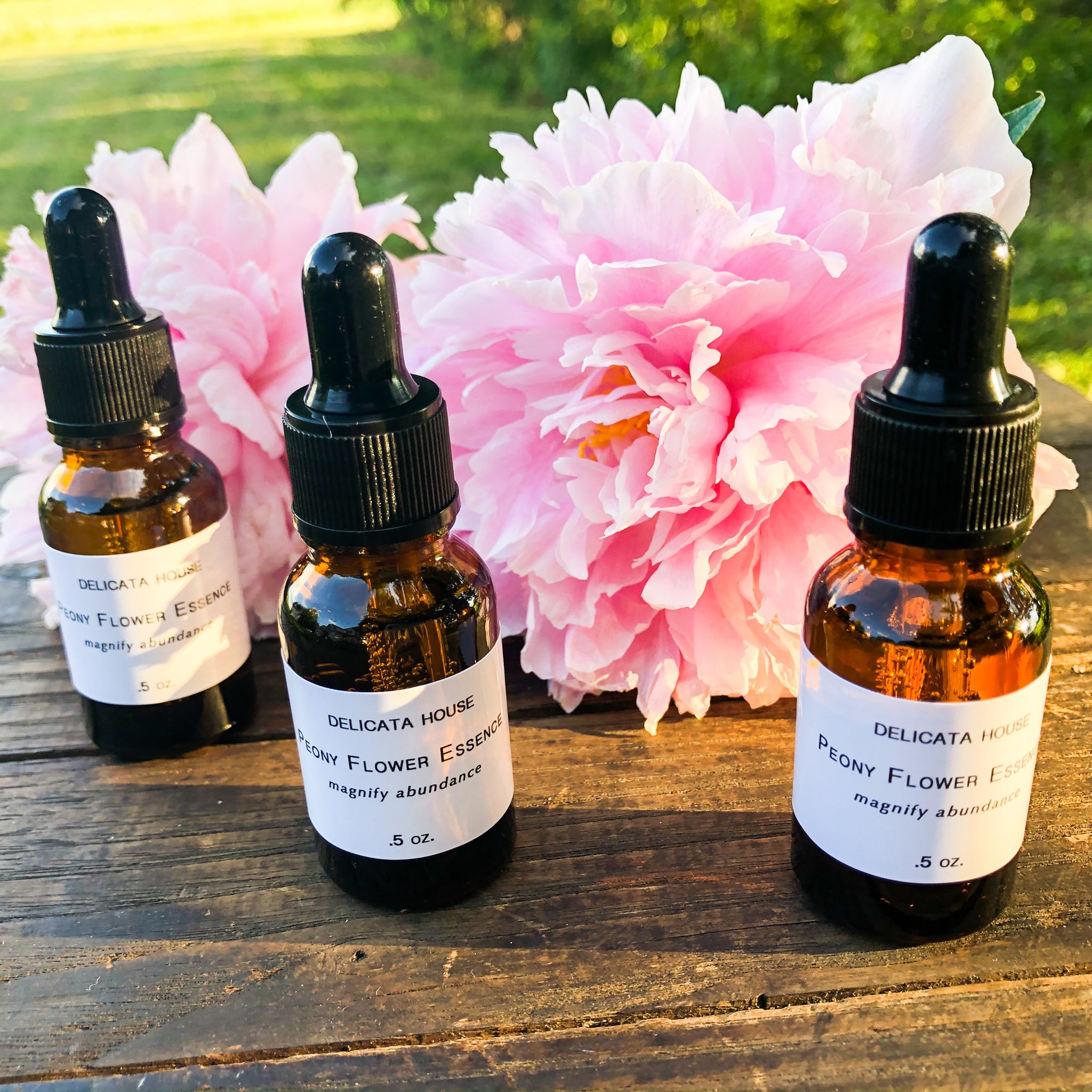 Flower Essence - Peony Flower Essence - Flower Remedy - 1st Chakra Bal ...