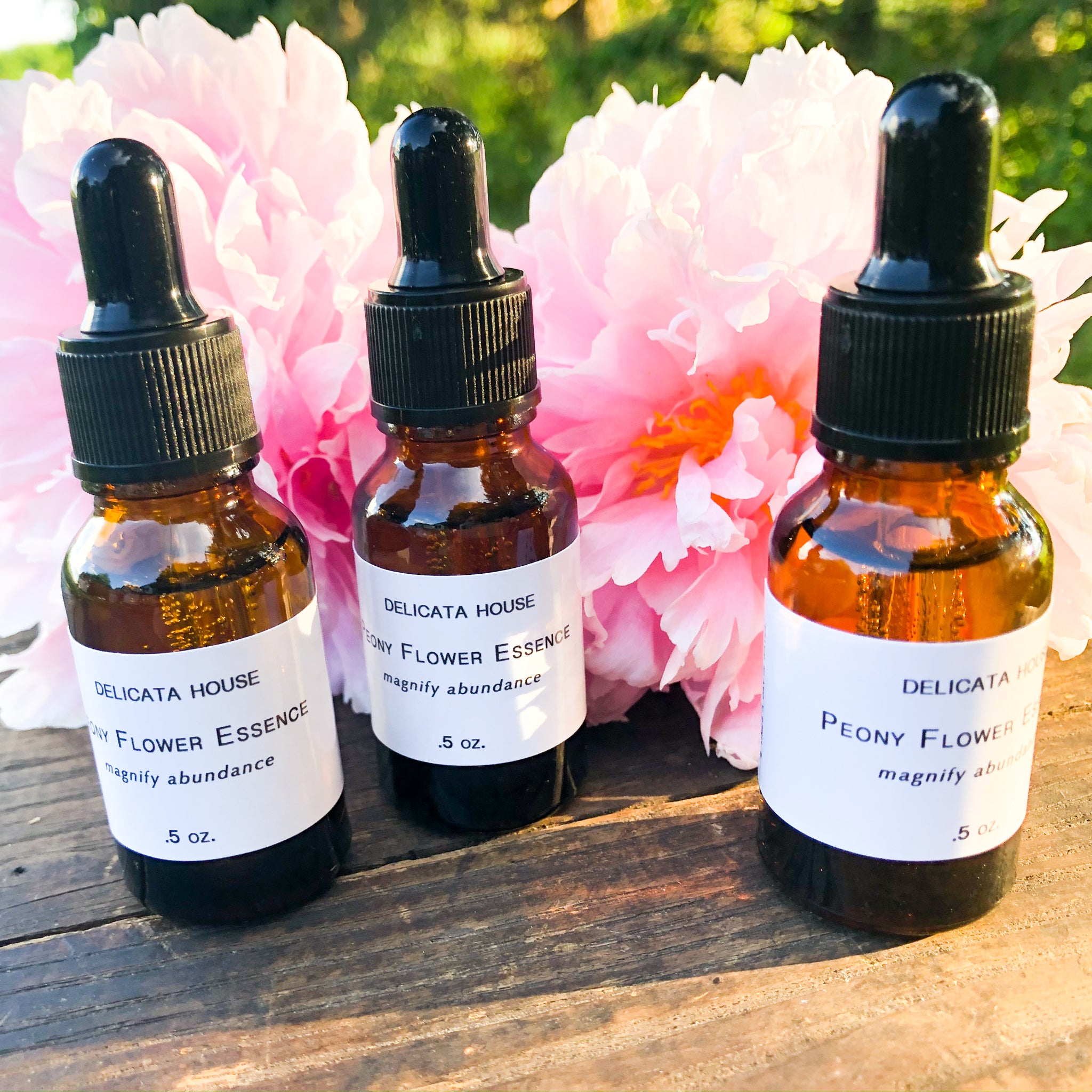 Flower Essence - Peony Flower Essence - Flower Remedy - 1st Chakra Bal ...